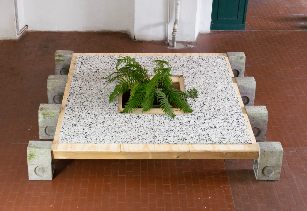 Tapchan - Vectorealism